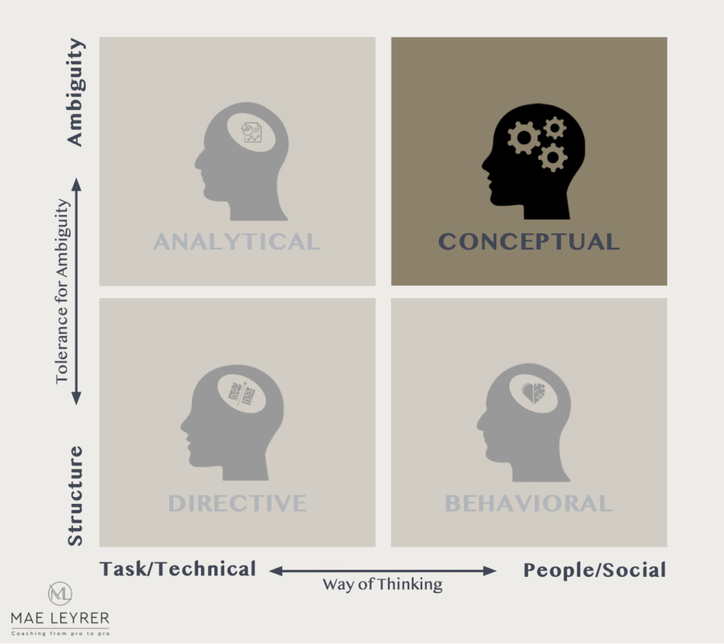 Which is your decision-making style? - Part III | MaeLeyrer
